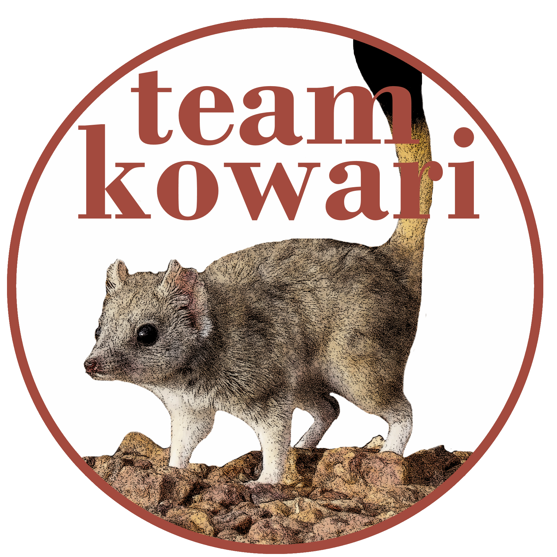 Home - Team Kowari